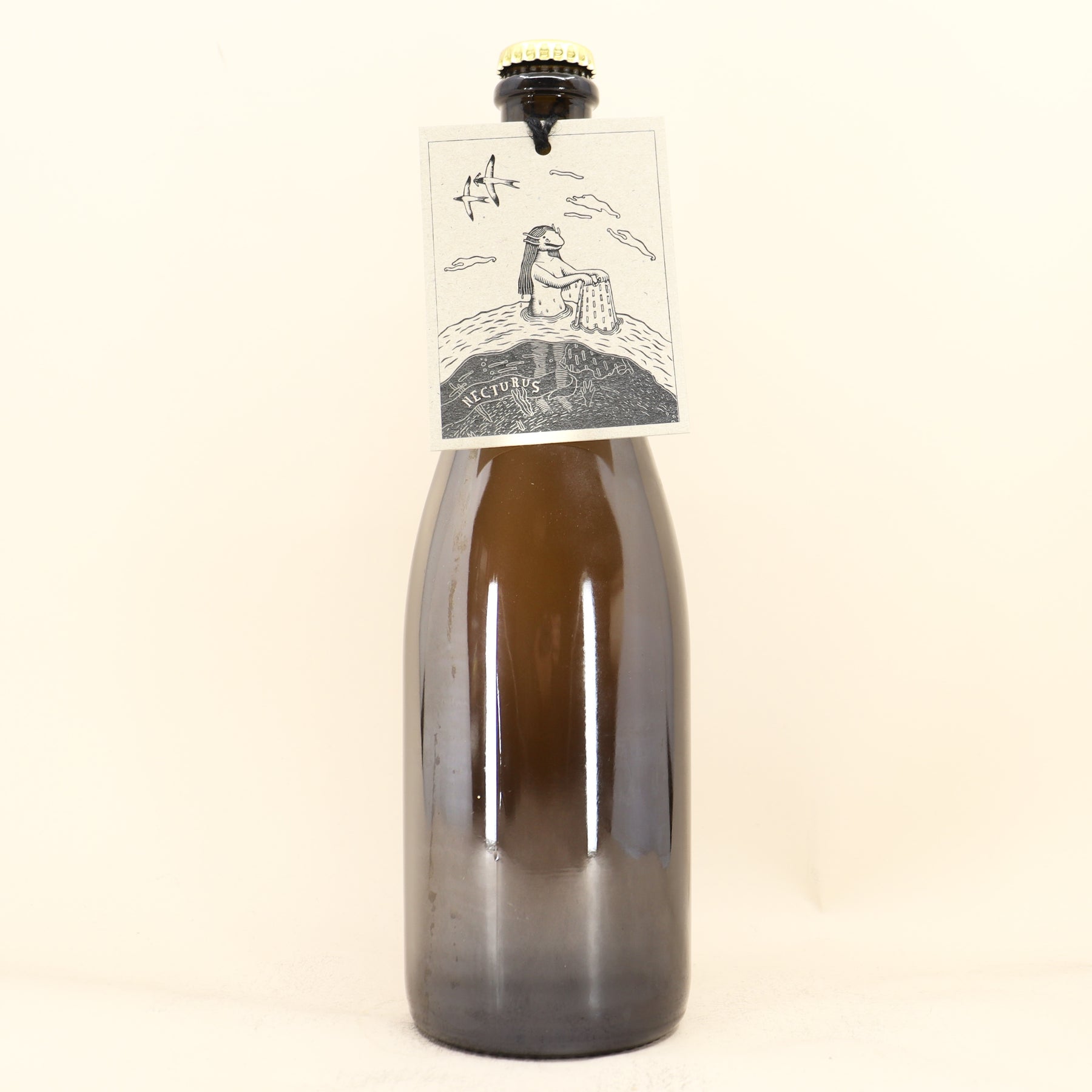 Sailors Grave Necturus Oyster Gose Bottle 750ml – Beermash